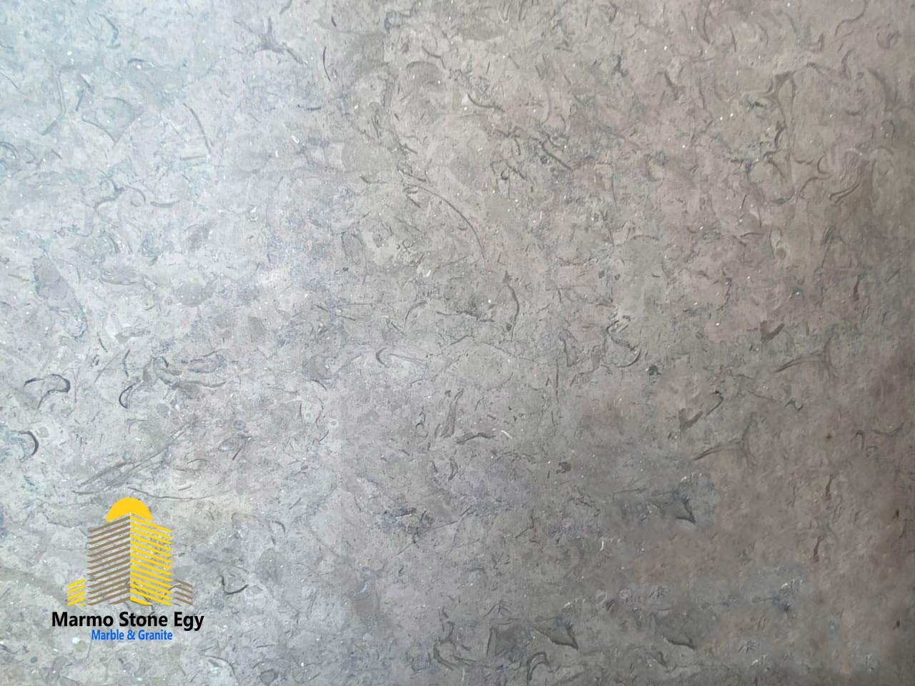 Moon light Caliza egipcia – Marmo Stone Egy